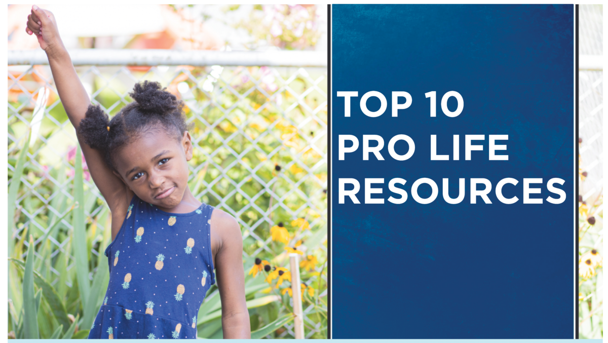Top 10 Pro Life Resources - Save the Storks