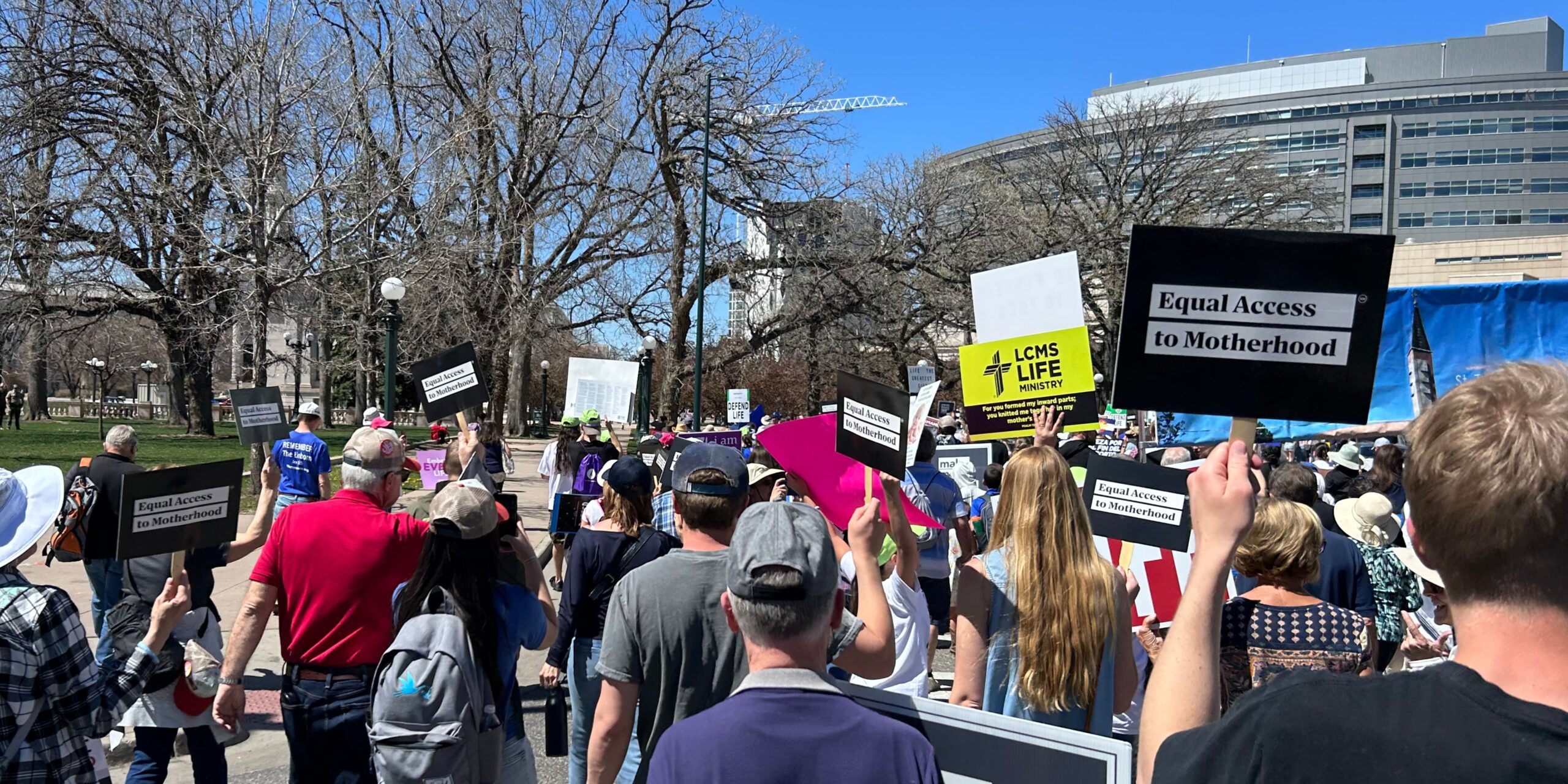 March for Life: Why We March for Equal Access to Motherhood℠ - Save the ...