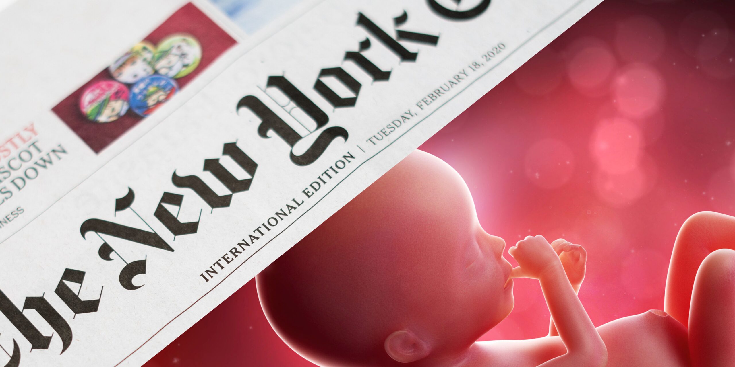 Fetus vs. Unborn: The Truth in Media Language - Save the Storks